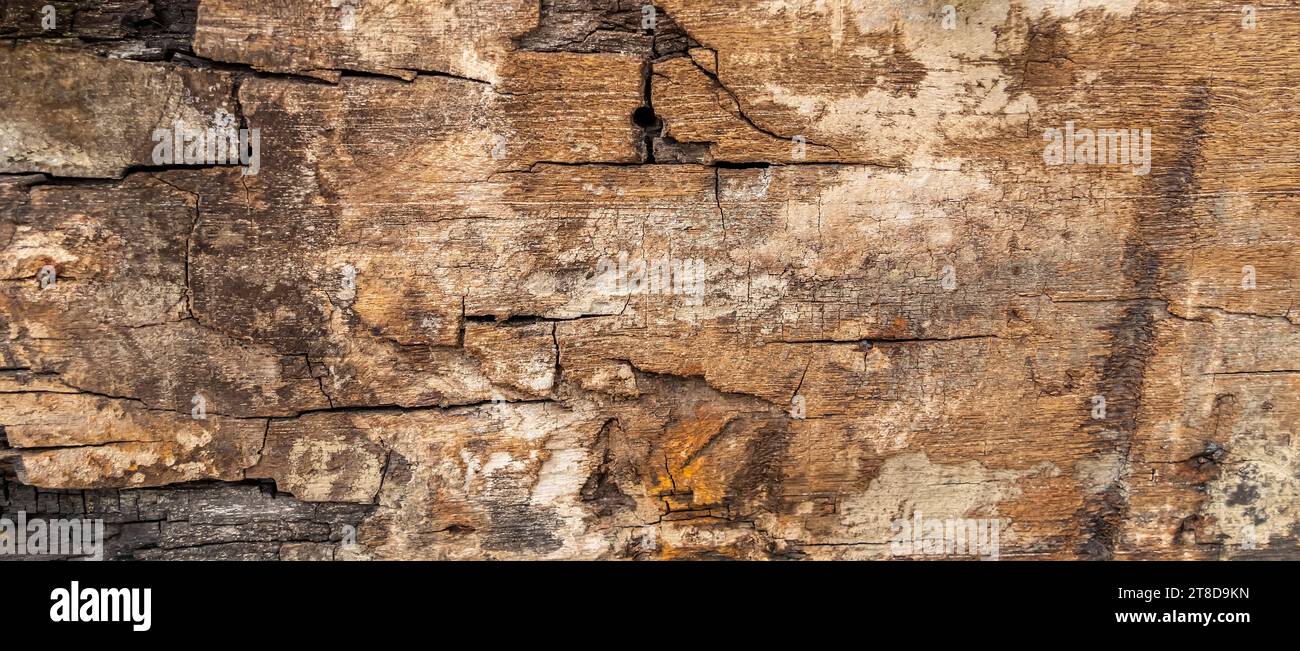 texture of the old spoiled wood damaged Stock Photo - Alamy