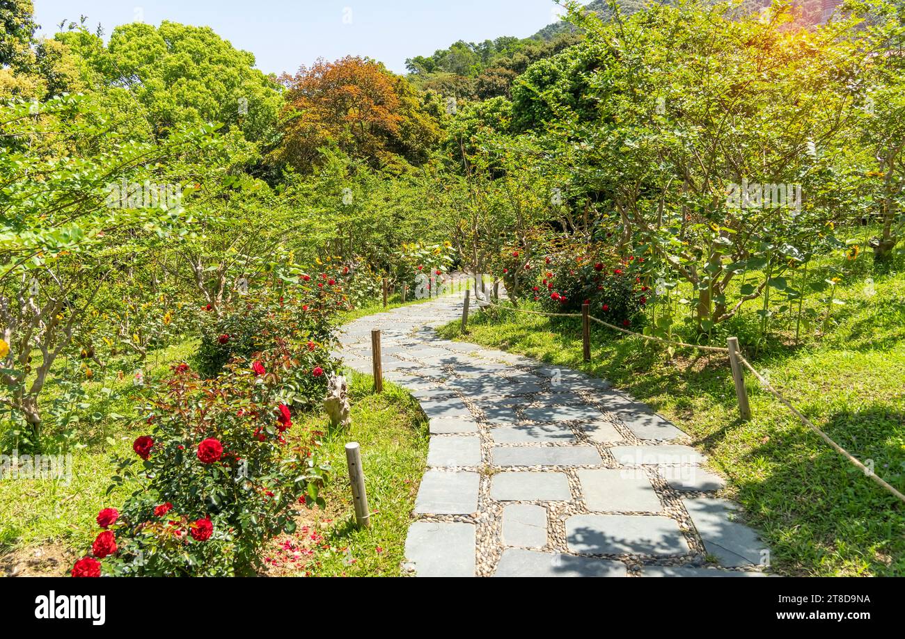Sidewalk flower garden hi-res stock photography and images - Alamy