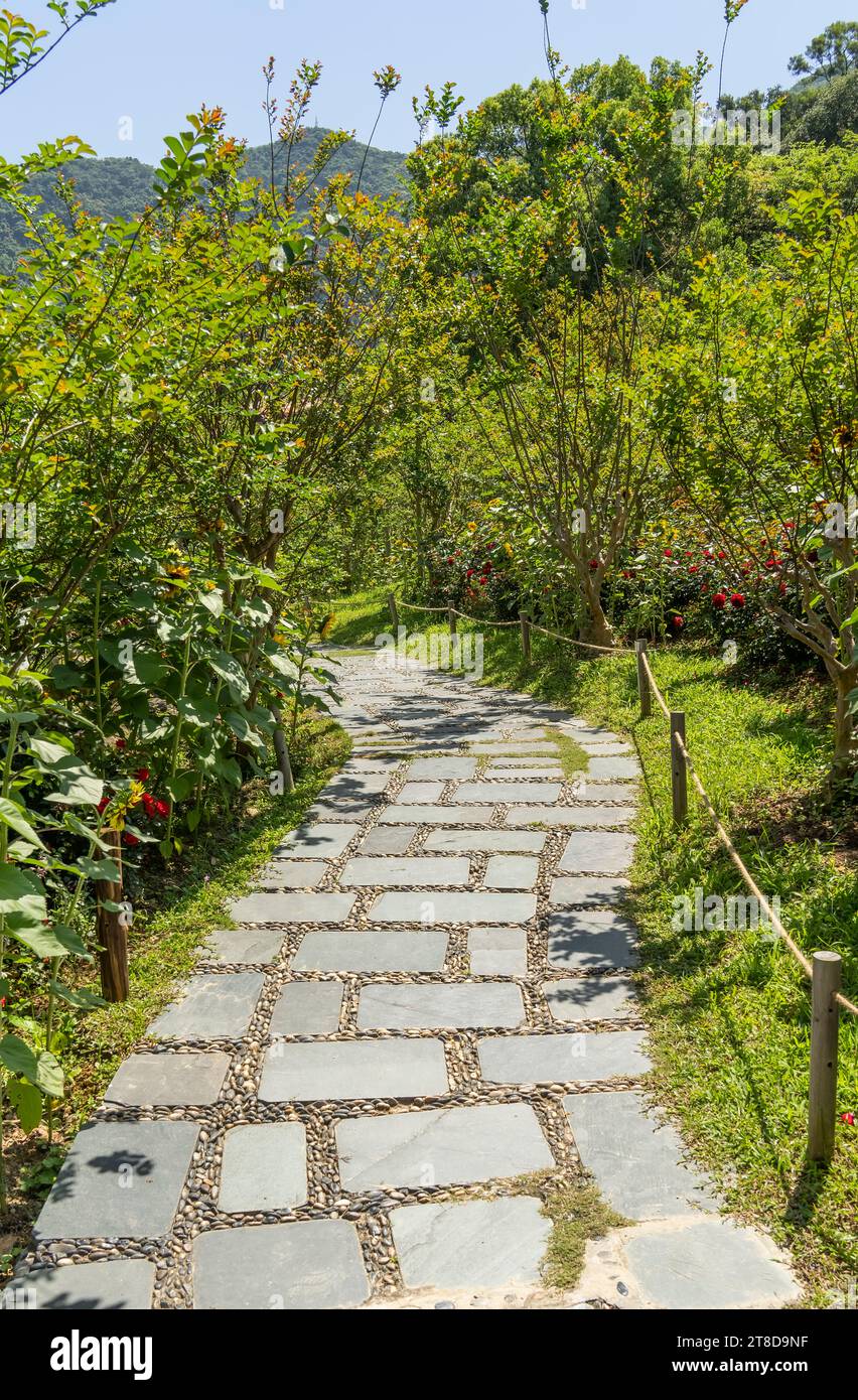 path leading through a flower garden Stock Photo - Alamy