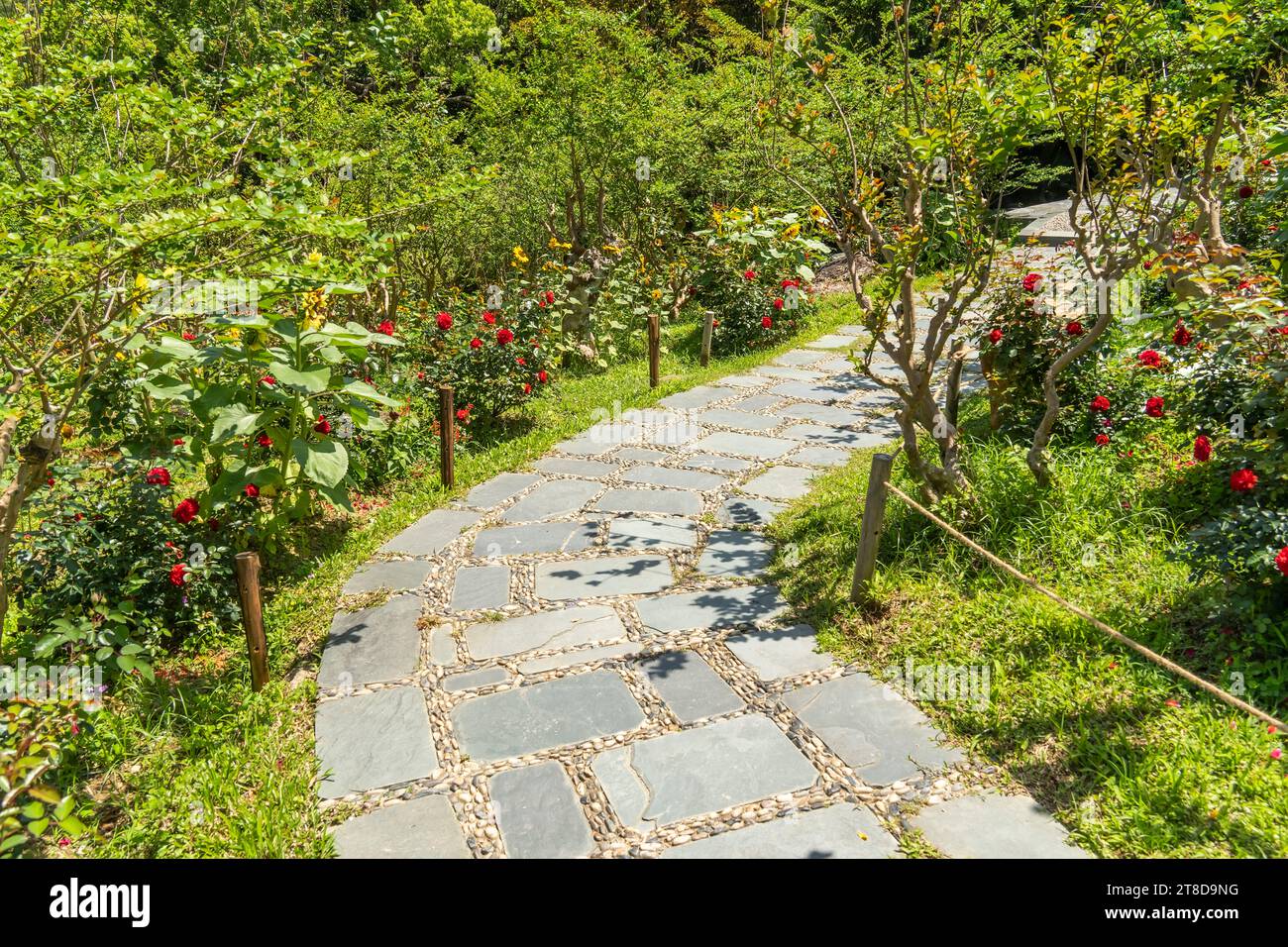 Sidewalk path through colorful hi-res stock photography and images - Alamy