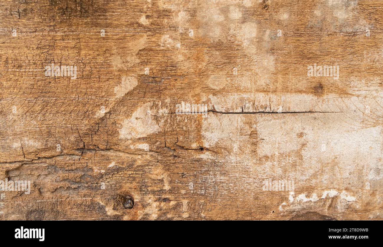texture of the old spoiled wood damaged Stock Photo - Alamy