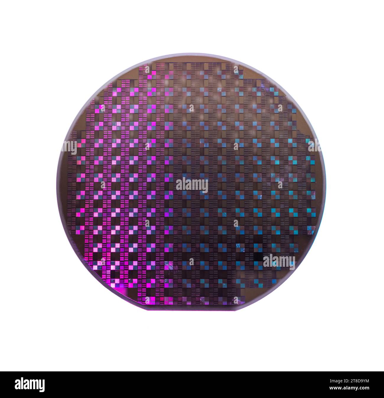 Silicon wafer with chips isolated on white background Stock Photo - Alamy
