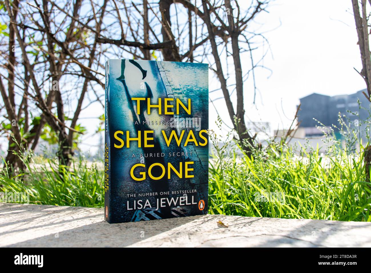 Close up Lisa Jewell's Then She Was Gone book in the garden Stock Photo ...