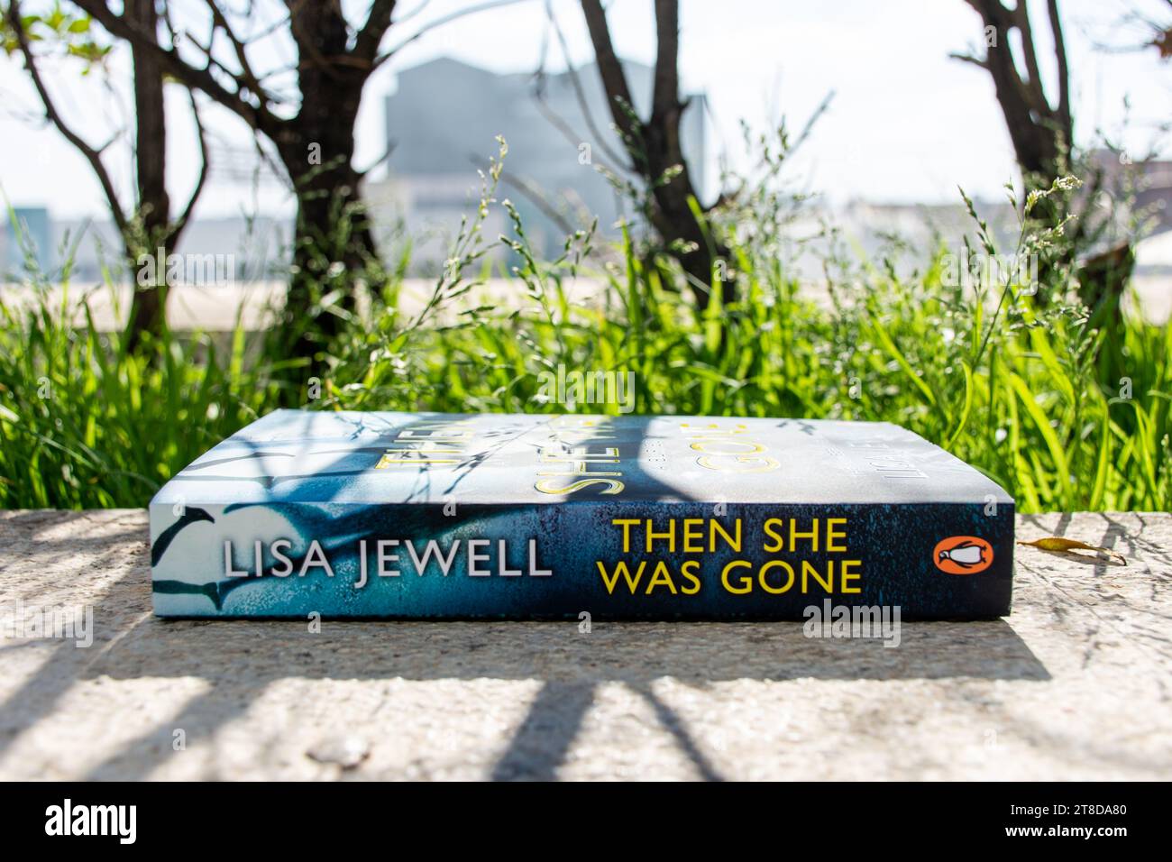 Close up Lisa Jewell's Then She Was Gone book in the garden Stock Photo ...