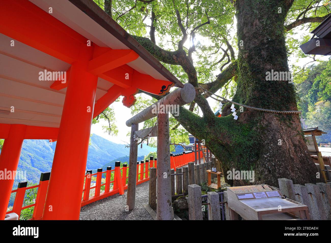 Kumano-Nachi Taisha Grand Shrine at Nachisan, Nachikatsuura, Wakayama ...