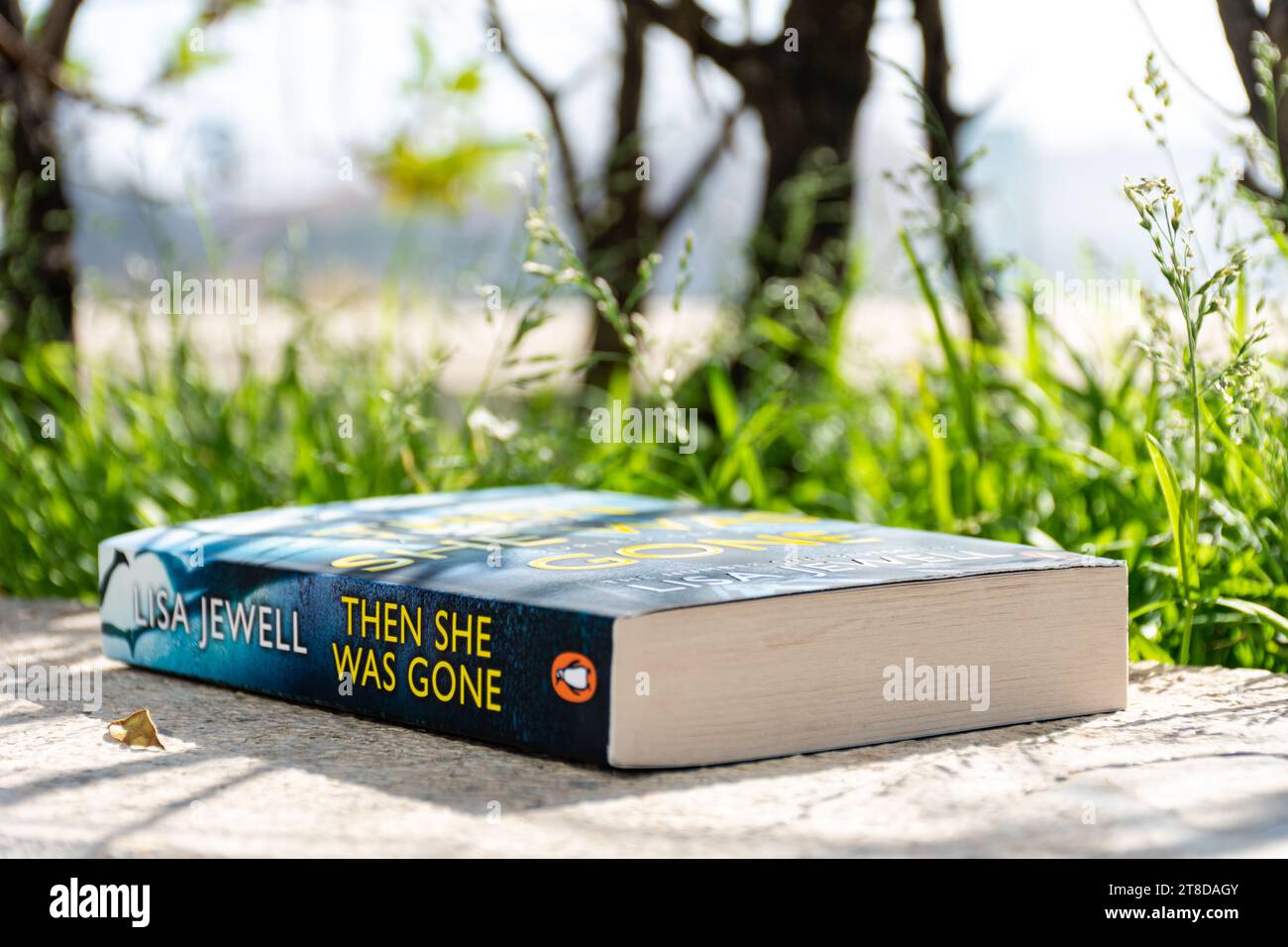 Lisa text hi-res stock photography and images - Alamy