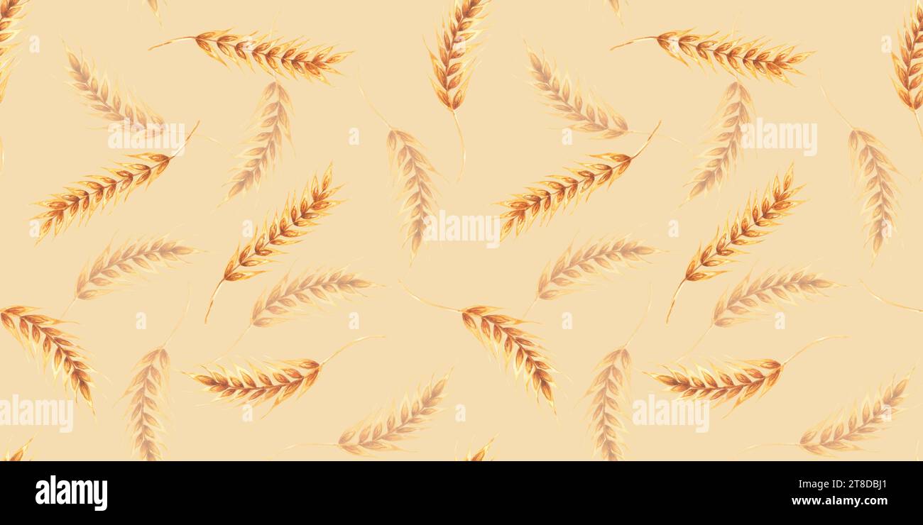Ears wheat spikelets on a white background. Watercolor seamless pattern ...