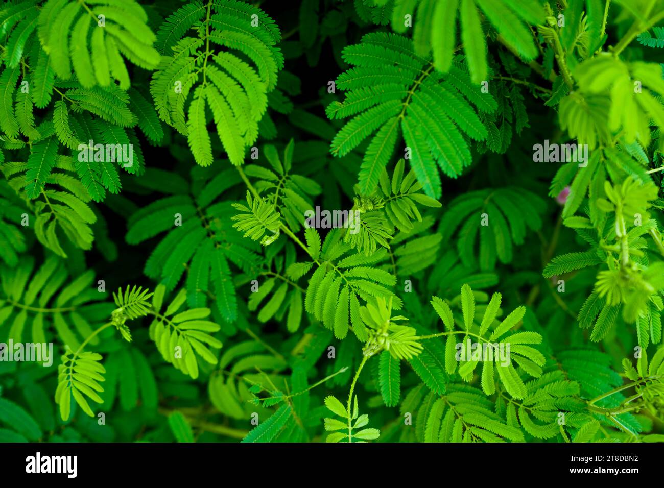 Dark tone colors hi-res stock photography and images - Alamy