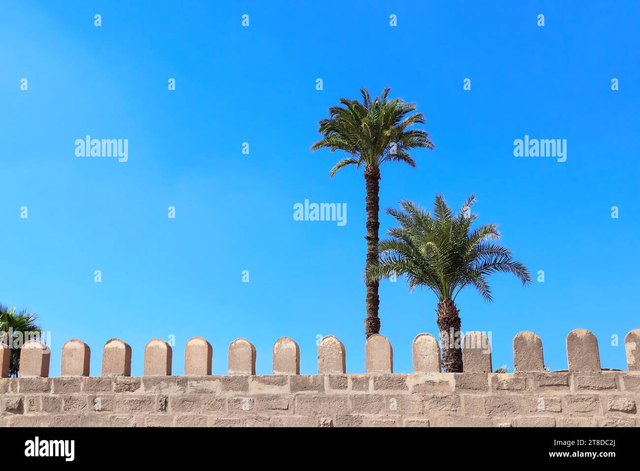 Fortress wall and two palm tree in ancient Cairo Citadel, Egypt, North ...