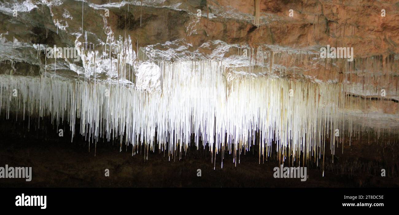 A close-up image of a cave interior, featuring a collection of long ...