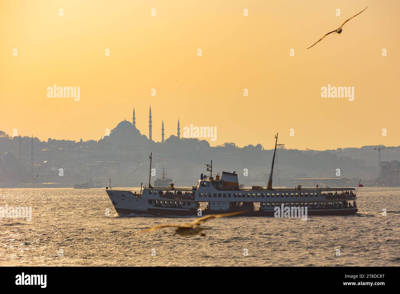 Istanbul background photo. Symbols of Istanbul. Ferry with seagulls and ...