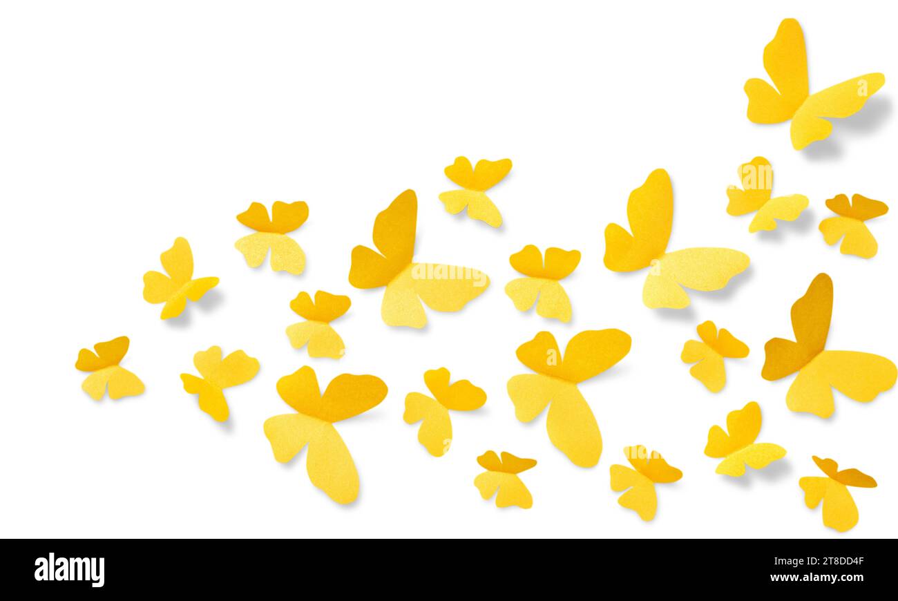 Cute Little Yellow Butterflies on White Background Stock Photo - Alamy