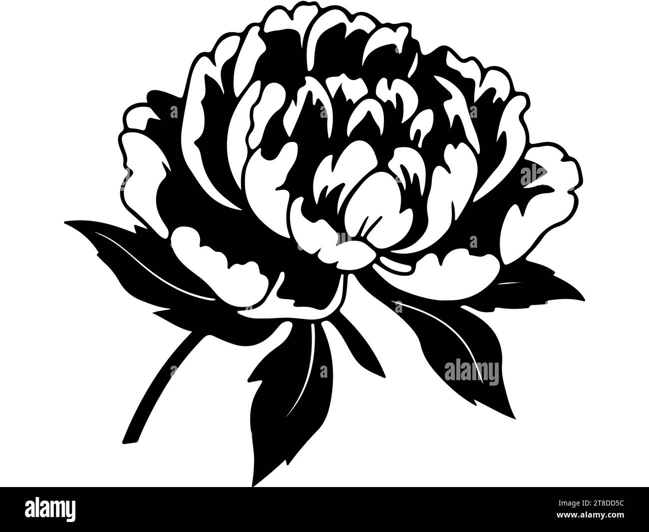 Set beautiful peony leaves Cut Out Stock Images & Pictures - Alamy