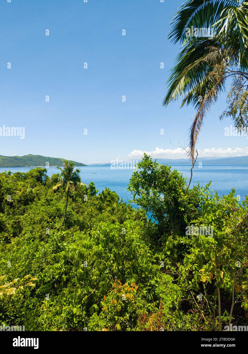 Sea view through green plants in Bangkay Island. Surigao del Norte ...