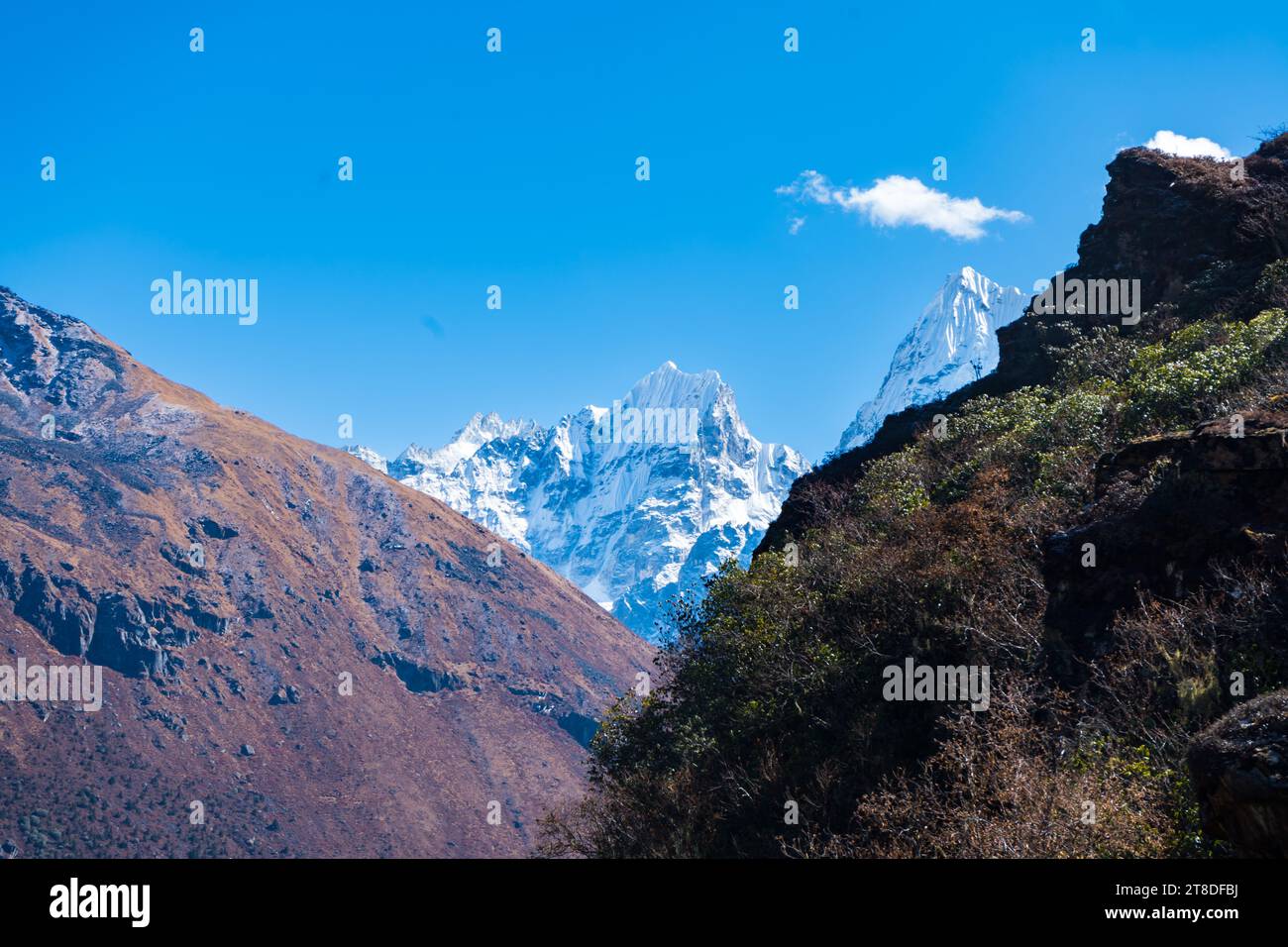 Trekking in the Kanchenjunga Conservation Area with dark Cloudy Himalyaan Mountains, Forest ...