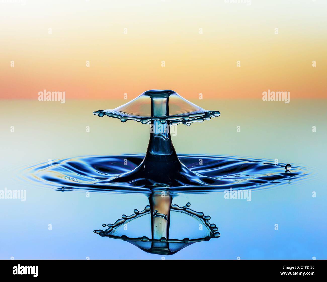 A beautiful scenic view of a water droplet falling into a calm pond ...