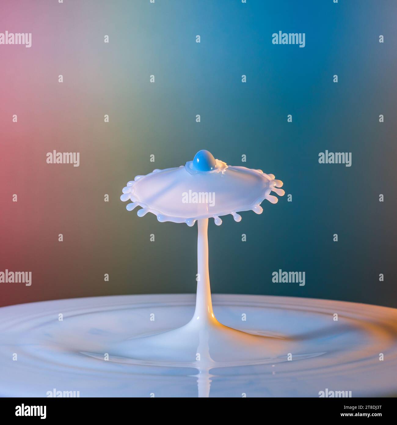 A beautiful scenic view of a water droplet falling into a calm pond ...