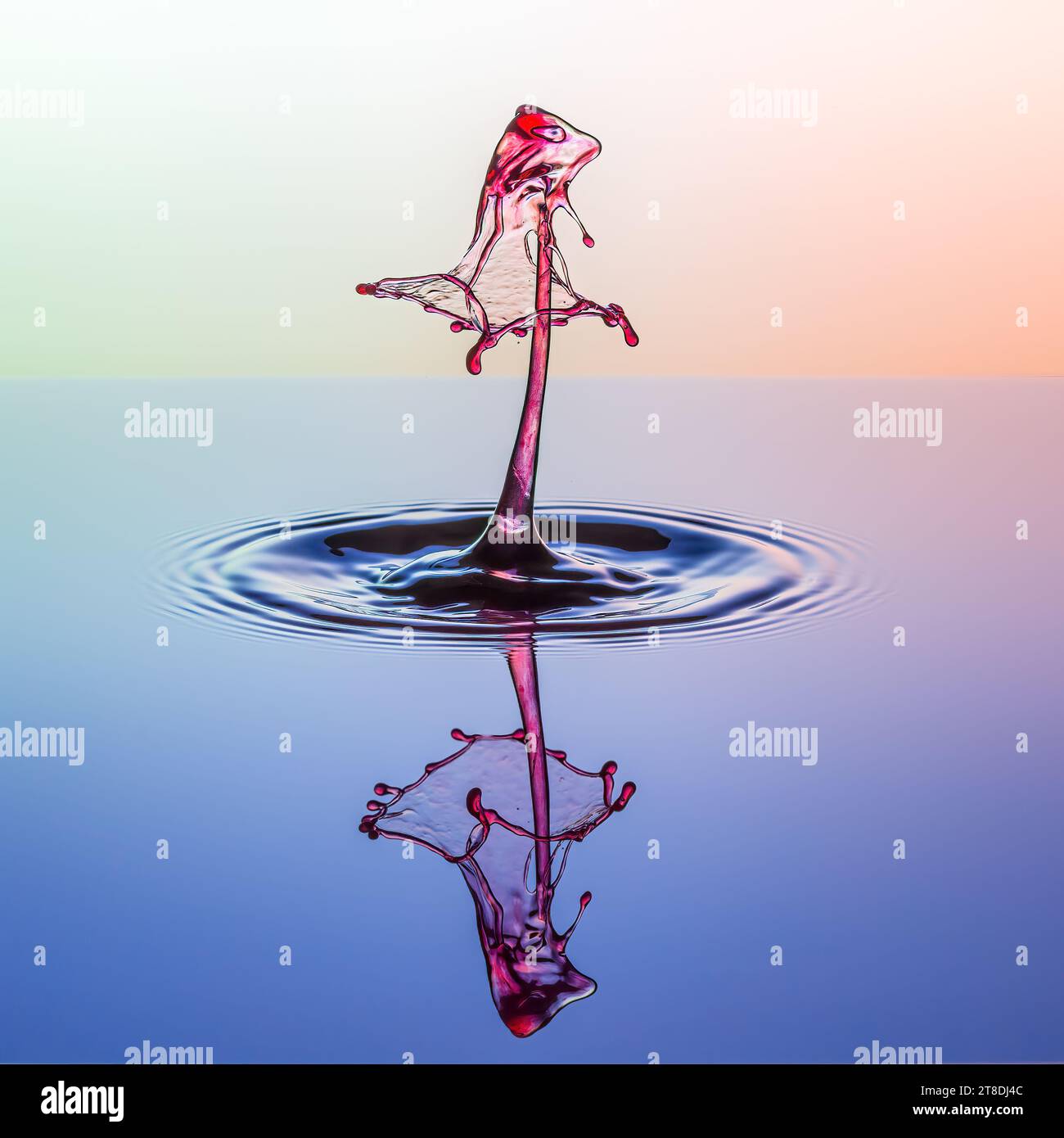 A beautiful scenic view of a water droplet falling into a calm pond ...