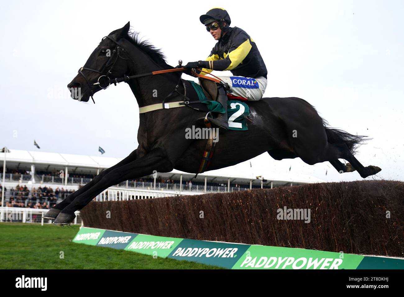 Jpr one horse hi-res stock photography and images - Alamy