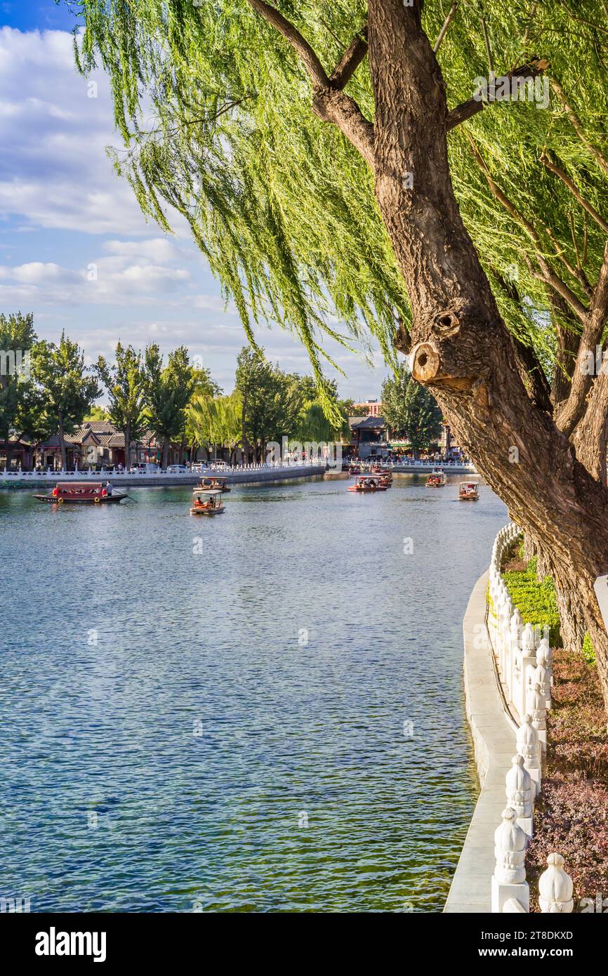 Trees on the side of the Qianhai lake in Beijing, China Stock Photo - Alamy