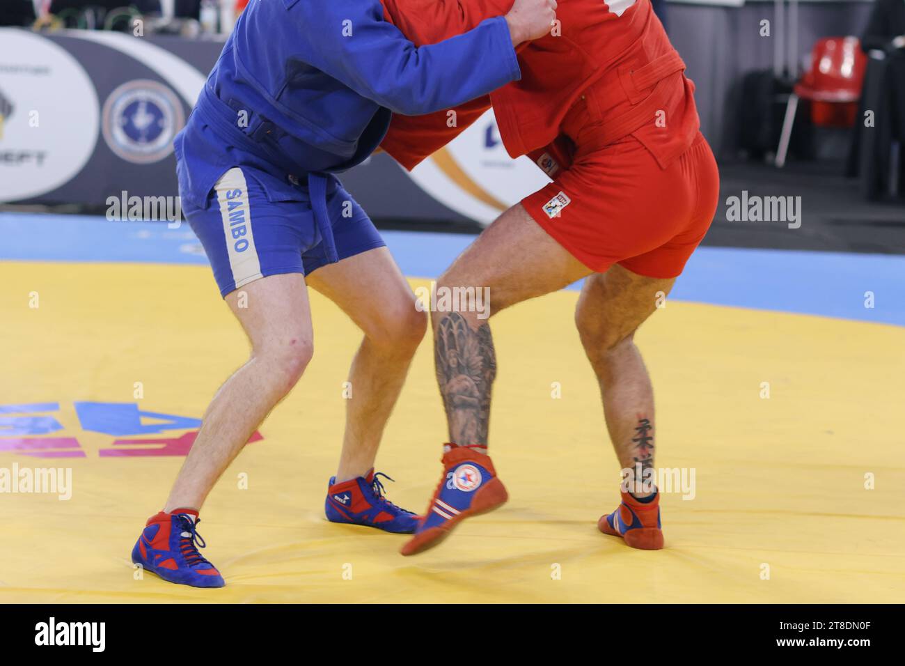 The two competitors participating in the traditional martial art of ...