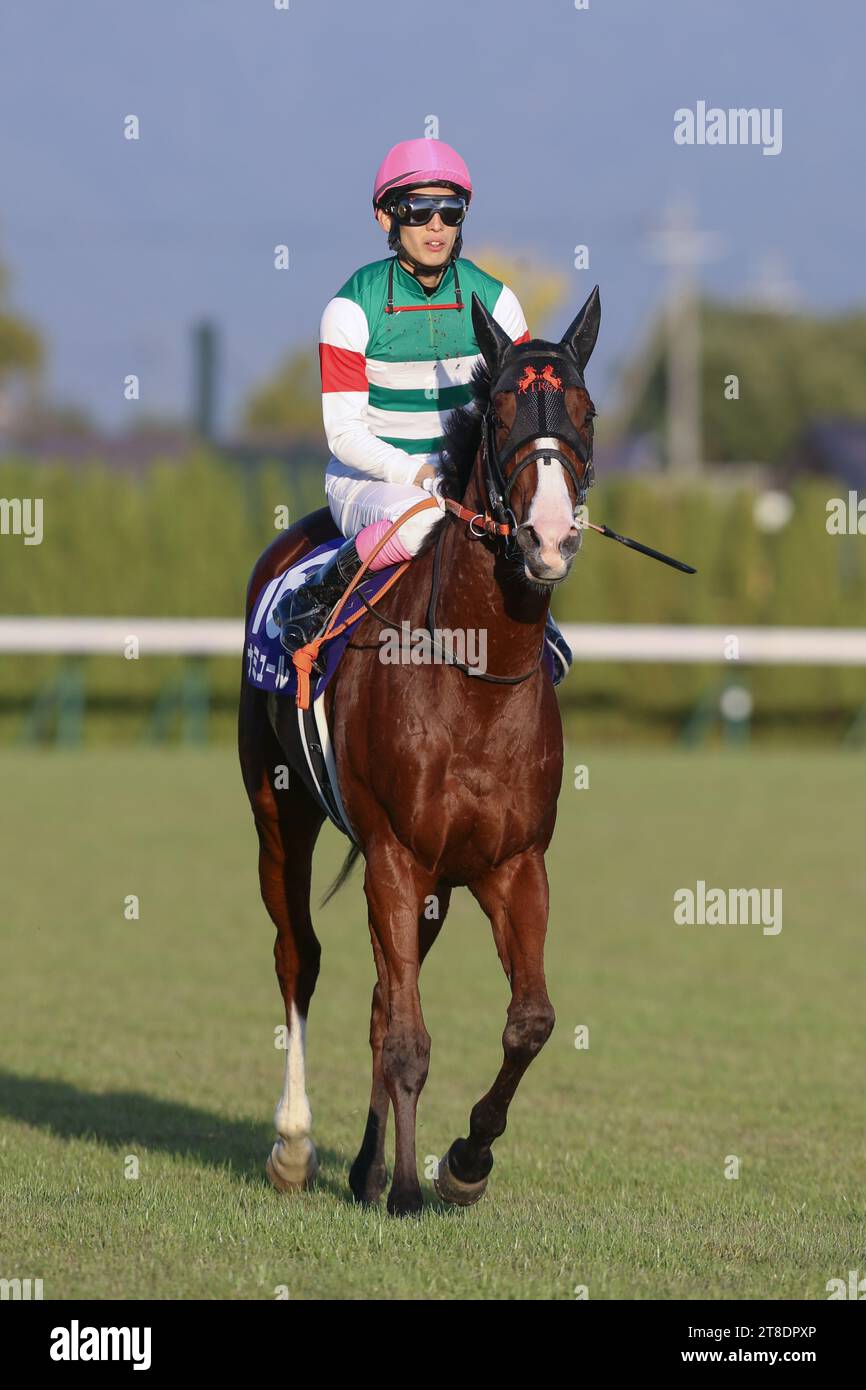 Namur and jockey Kota Fujioka won the Mile Championship at Kyoto ...