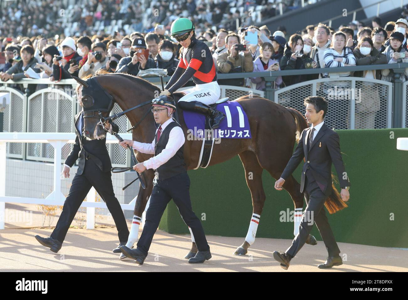 Serifos and Yuga Kawada before the Mile Championship at Kyoto ...