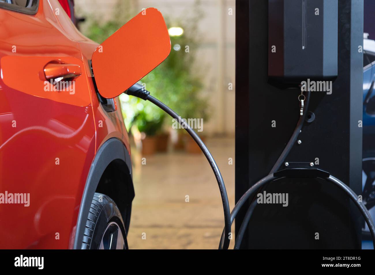 A Surprising Encounter: When a Red Electric Car Meets a Black Gasoline ...