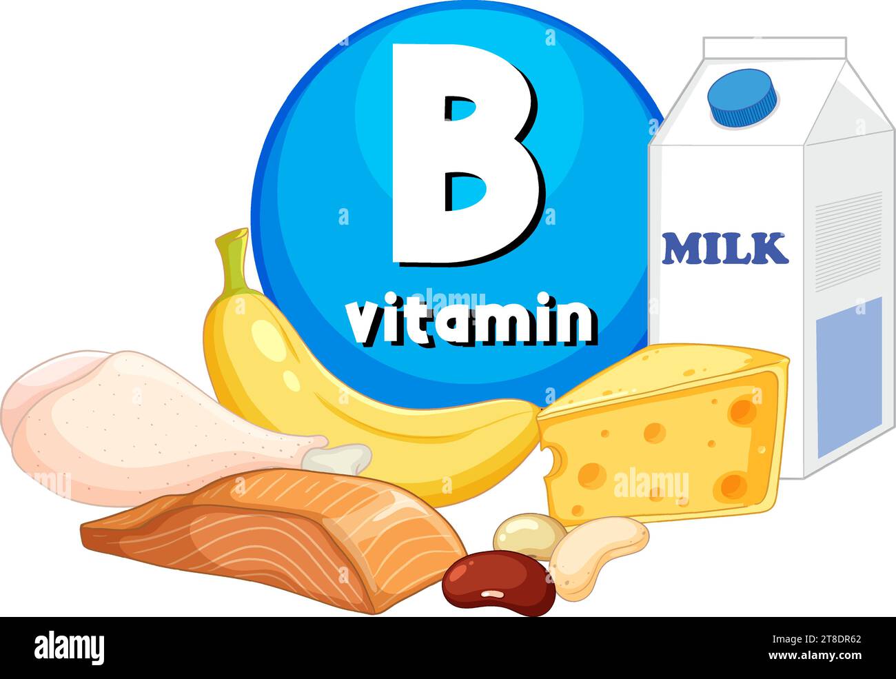 Illustrated Banner Showcasing A Variety Of Vitamin B Rich Foods Stock Vector Image And Art Alamy