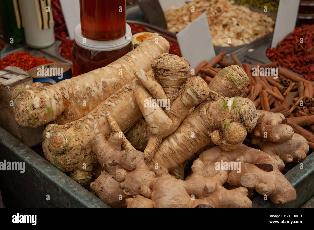 Outdoor market in Israel selling fresh horseradish root for making ...
