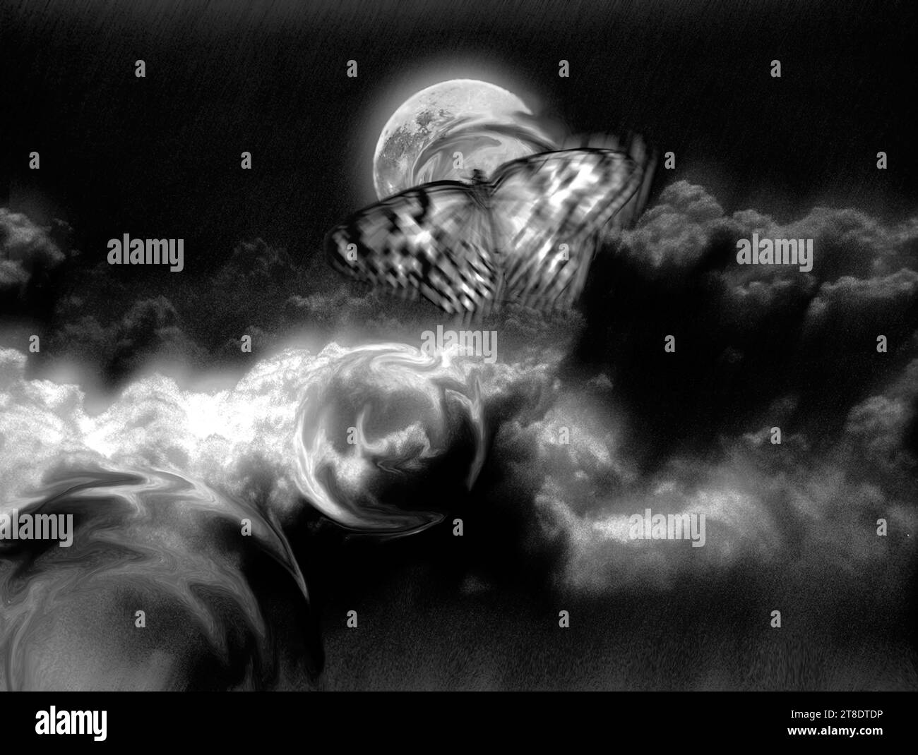 Mythology butterfly Black and White Stock Photos & Images - Alamy
