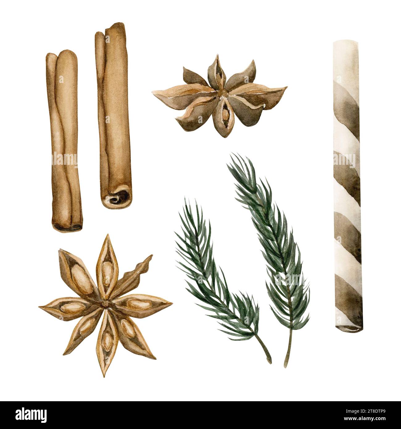 Winter objects set: cinnamon sticks, stars anise, pine branch, crispy ...