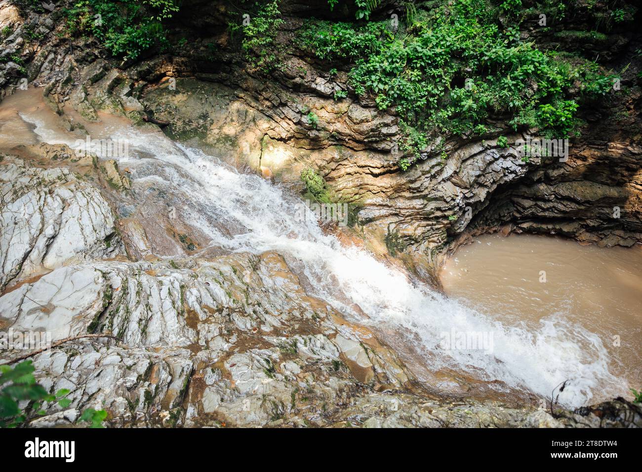 a running river in the rocks between the green trees Stock Photo - Alamy
