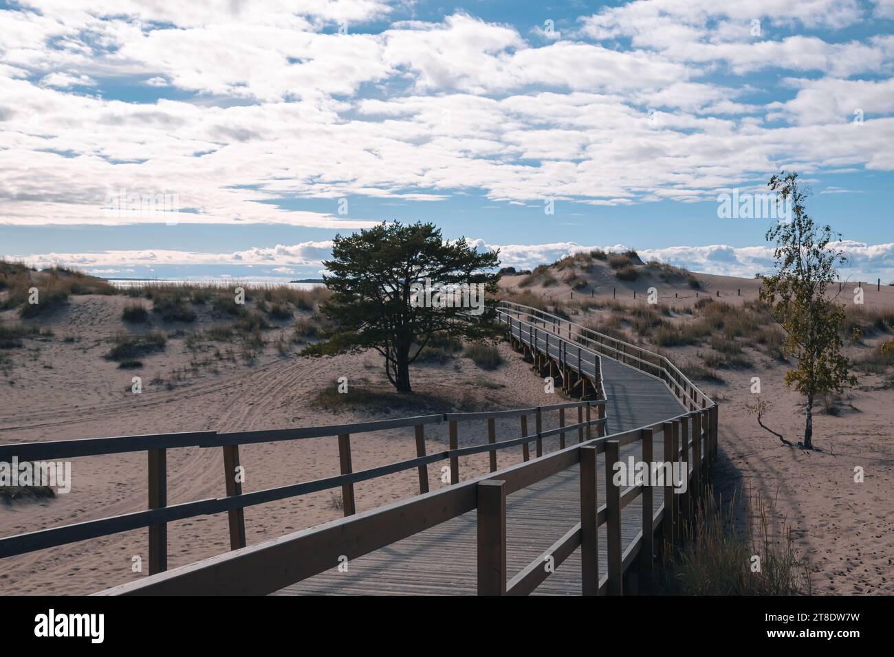 Wooden path in the dunes hi-res stock photography and images - Alamy