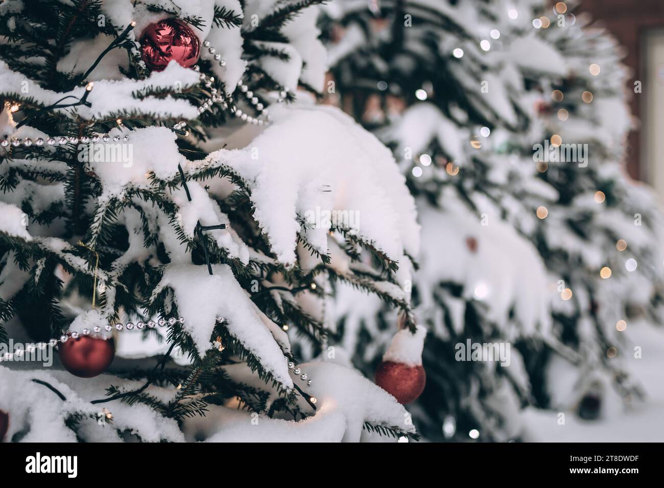 christmas tree with red balls on the background on a blurry sparkling ...
