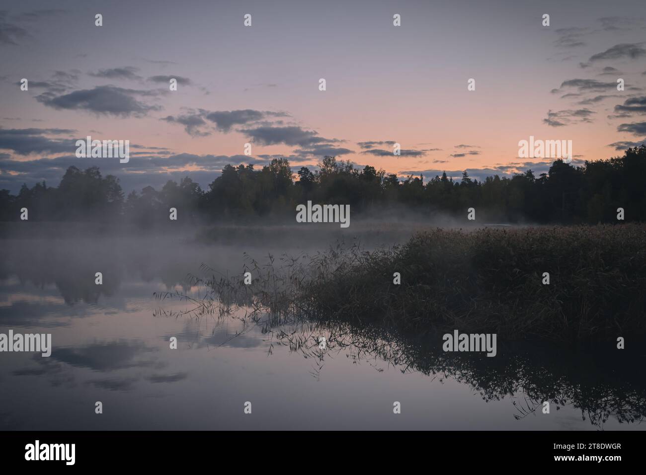 Light fog over lake hi-res stock photography and images - Alamy