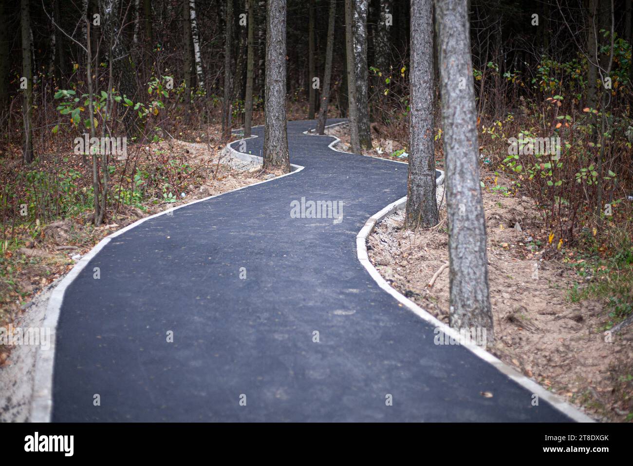 A new path in the park. Asphalt road through the forest. Path among the ...