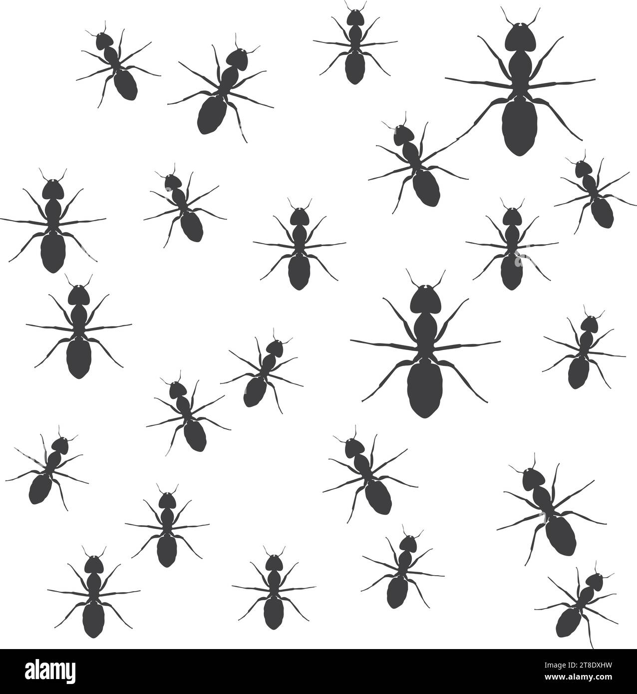 Ants working in anthill Stock Vector Images - Alamy