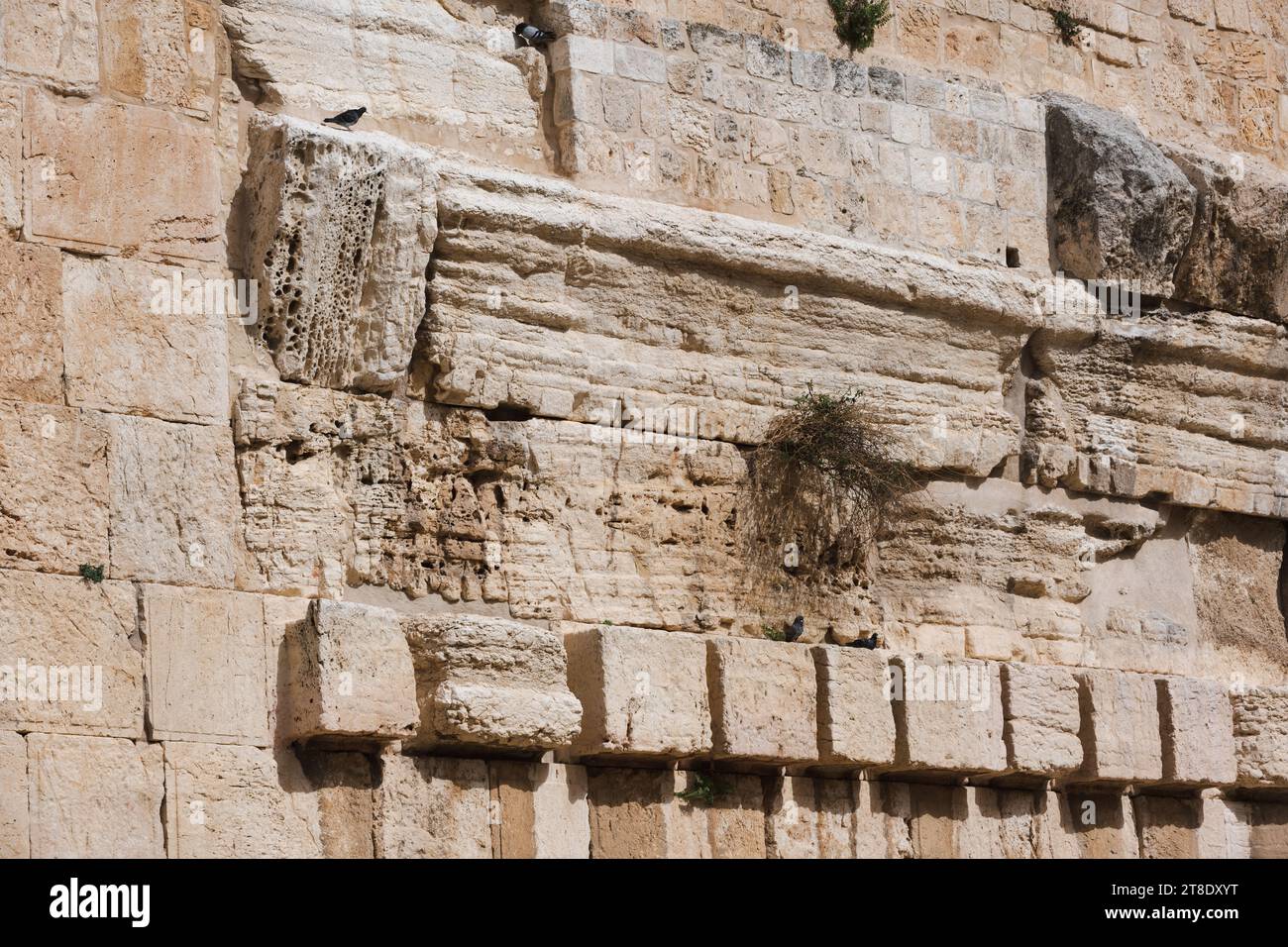 A section of the Western Wall in the Old City of Jerusalem from the ...