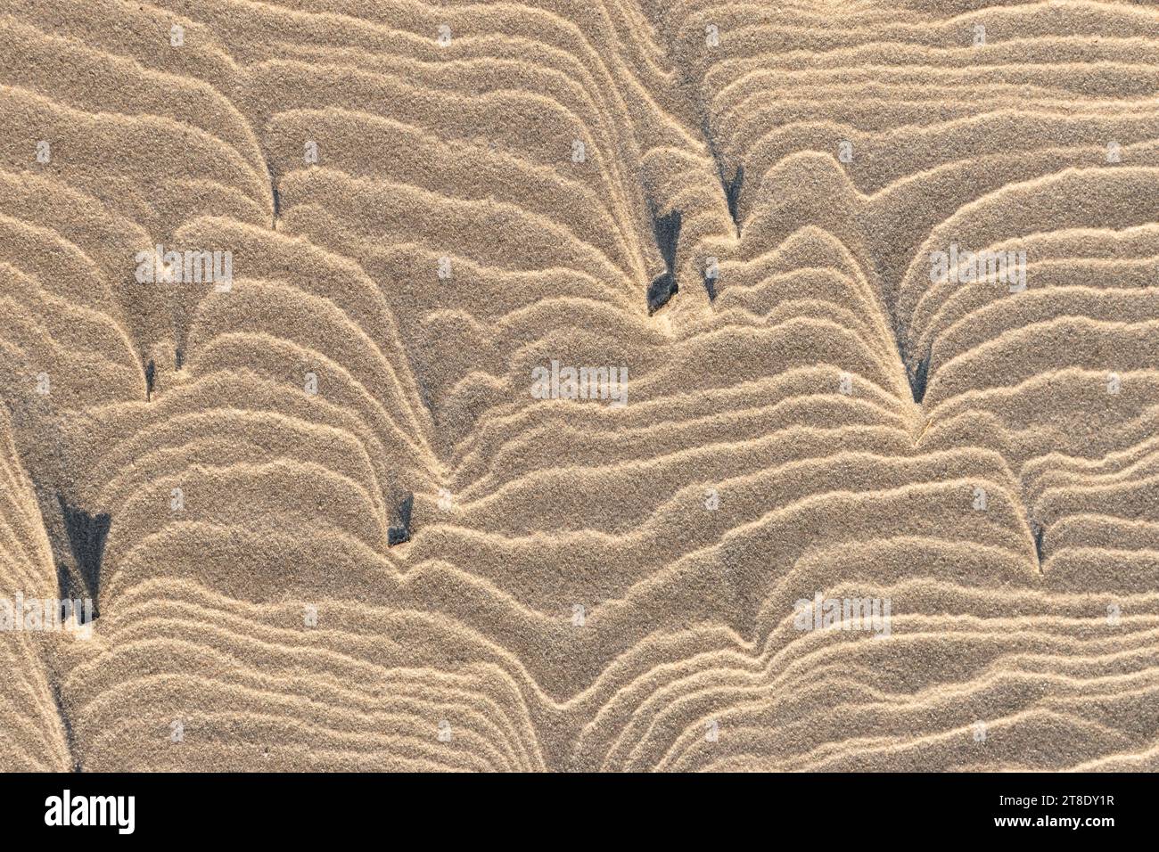 texture and structures of sand Stock Photo - Alamy