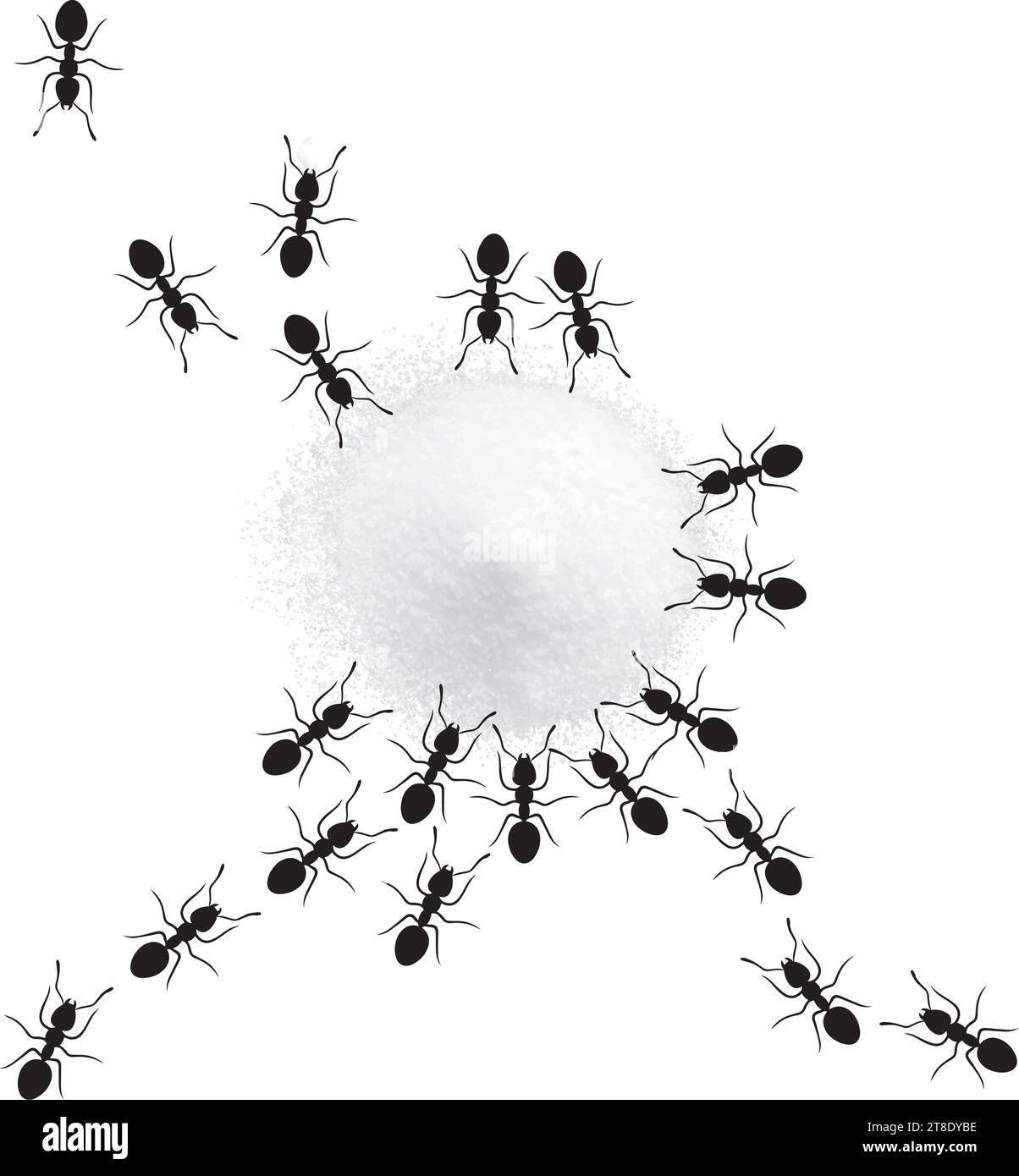 Ants working in anthill Stock Vector Images - Alamy