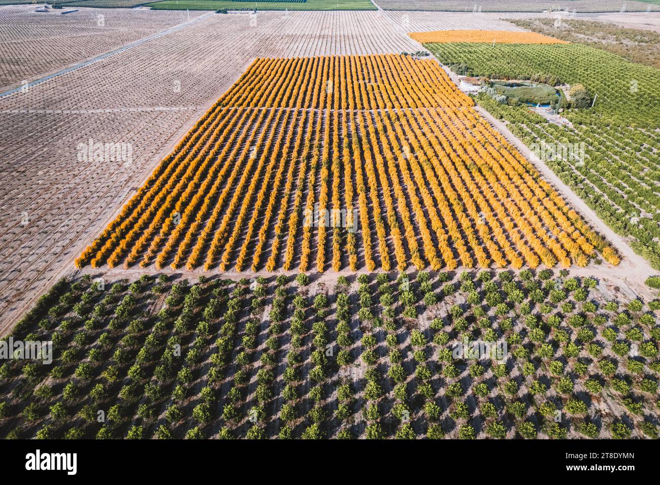 Aerial agricultural farm land california hi-res stock photography and ...