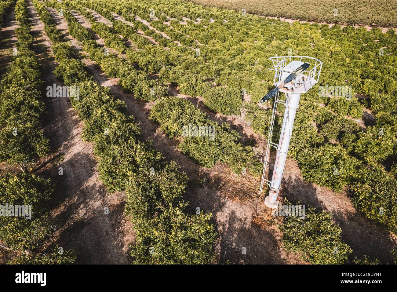 Drone fruit plantation hi-res stock photography and images - Alamy