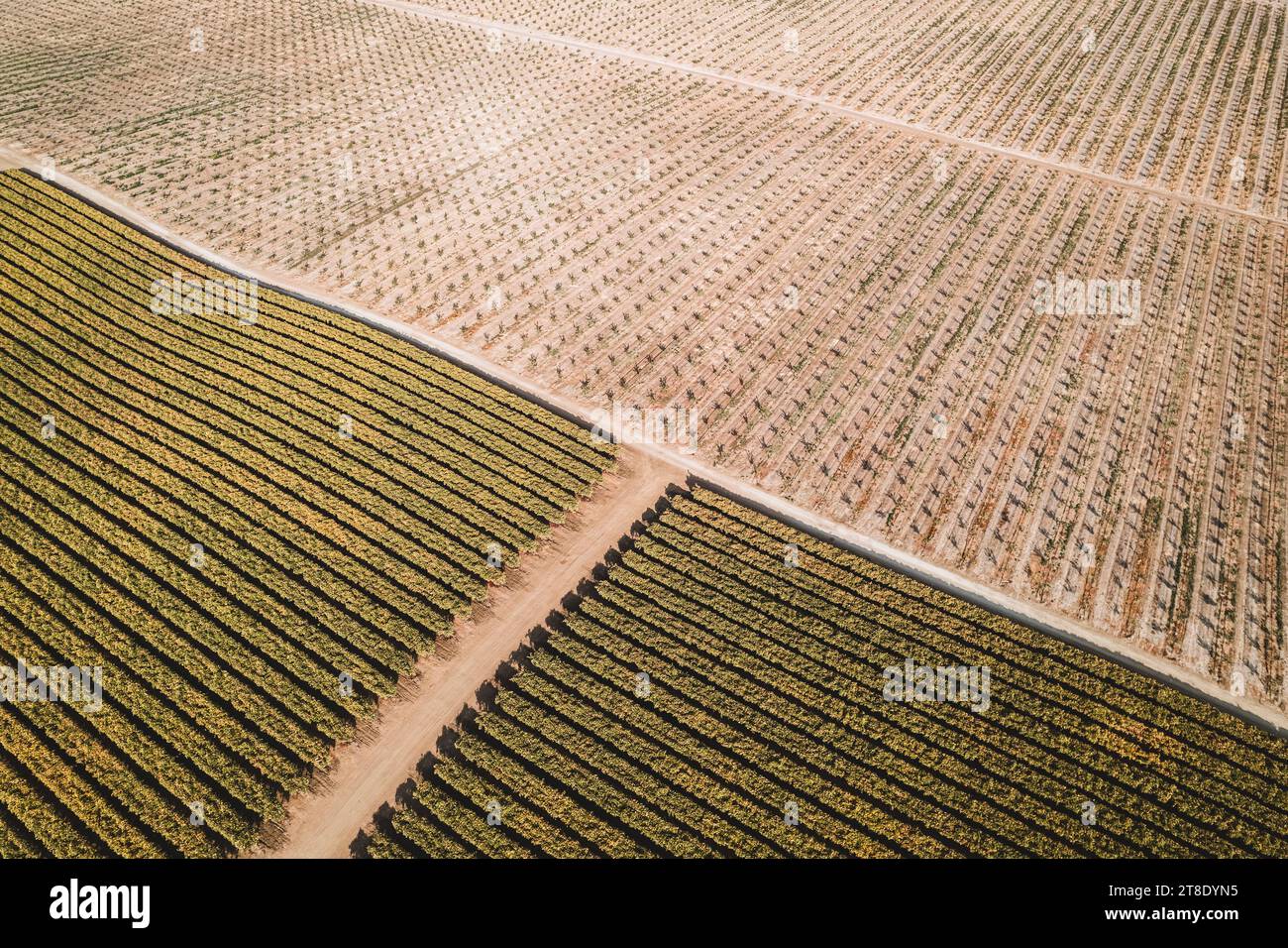 Aerial view of industrial sized crop land, California Stock Photo - Alamy