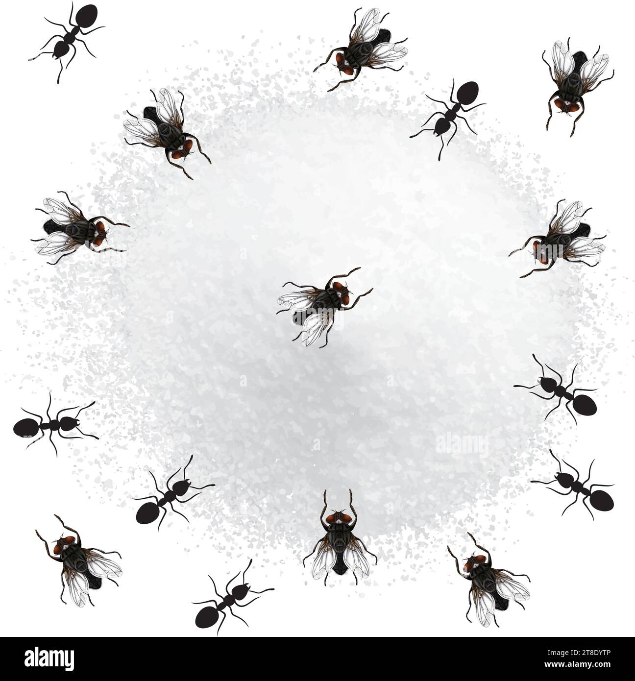 Ants working in anthill Stock Vector Images - Alamy