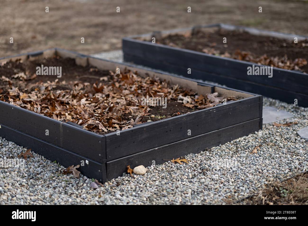 End of Harvest Raised Garden Bed with Dead Leaves in them Stock Photo ...
