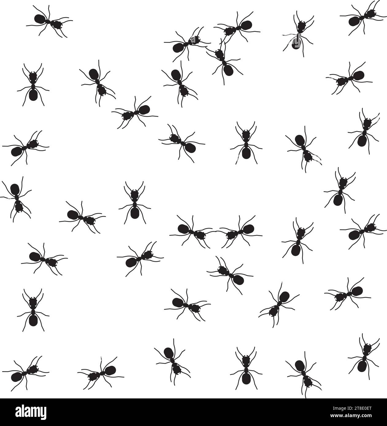 Worker ants trail line flat style design vector illustration isolated ...
