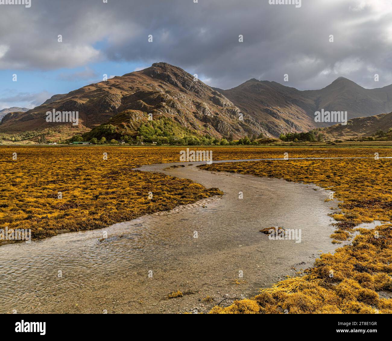 Five Sisters of Kintail for Loch Duich, Scotland Stock Photo - Alamy