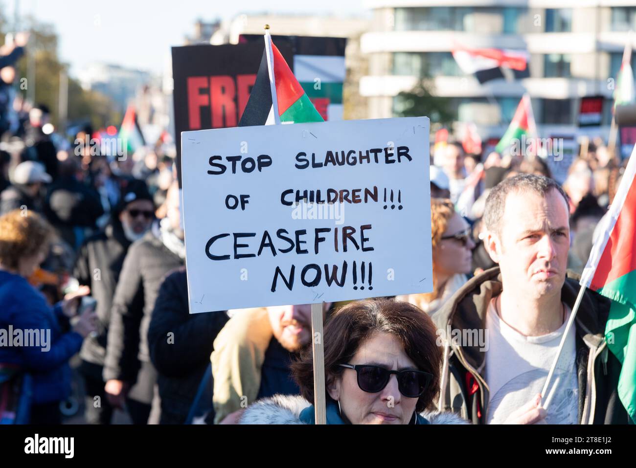 Pro Palestine rally, National Demonstration for Palestine taking place ...