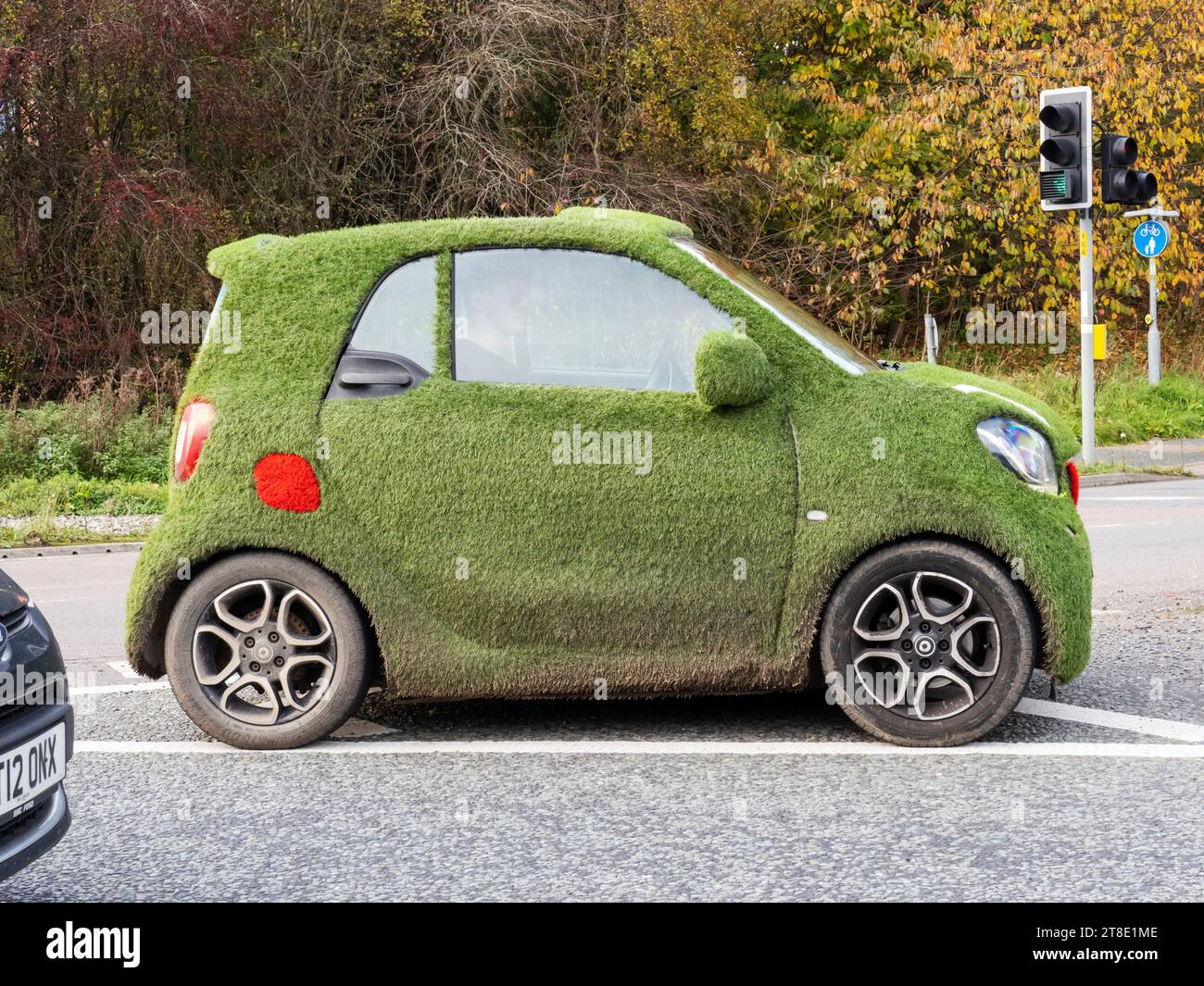 Car covered in grass hi-res stock photography and images - Alamy